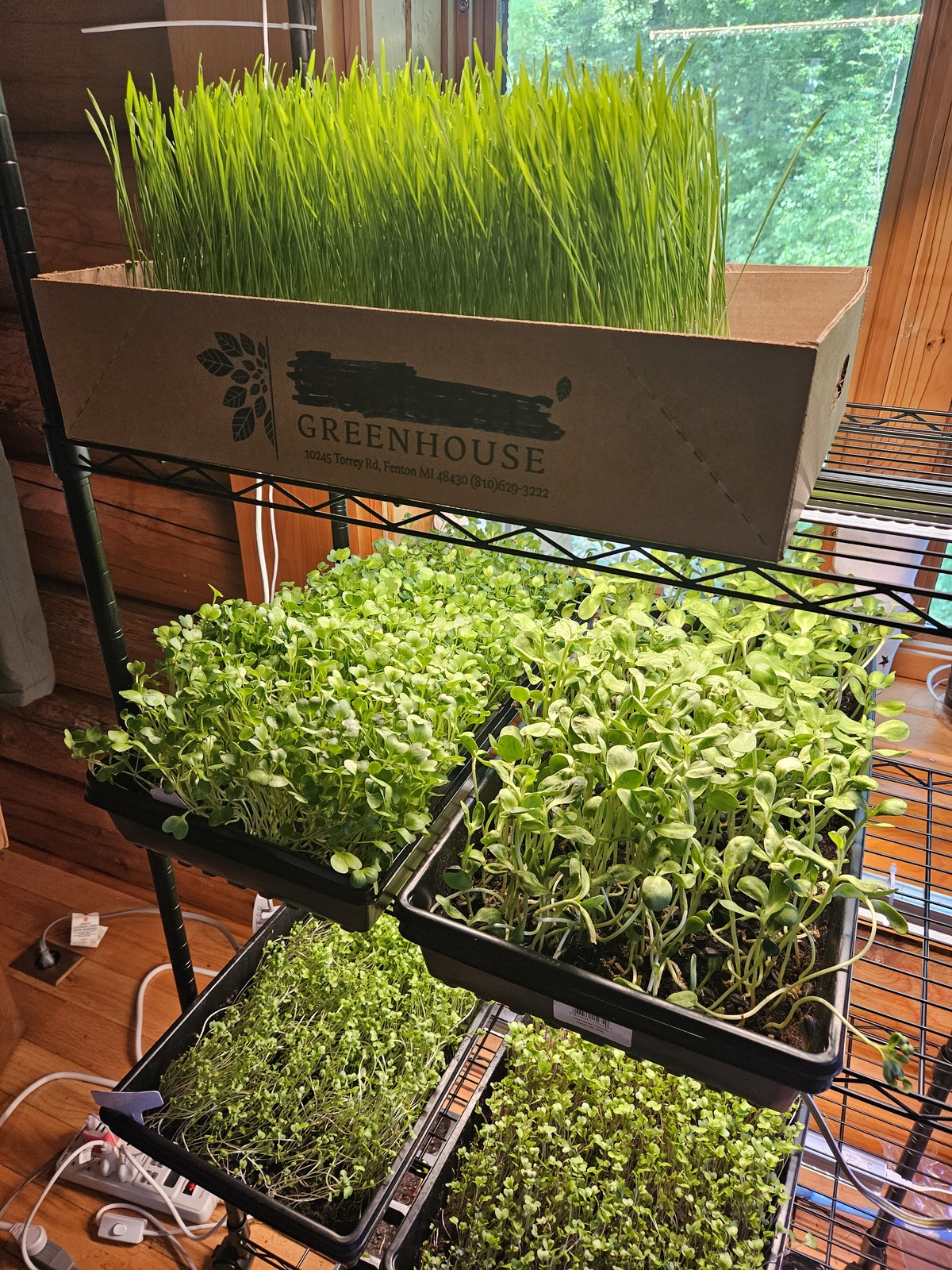 friendsfamilyfarms.com - Newbury, MA